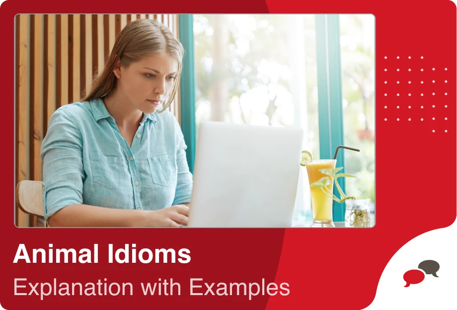 Animal Idioms (2024) - EnglishCentral Blog